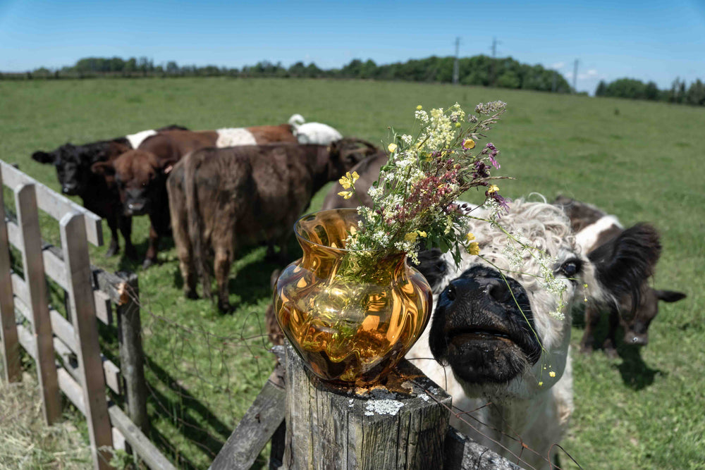 KLIMCHI | Premium Crystal Glassware & Drinkware