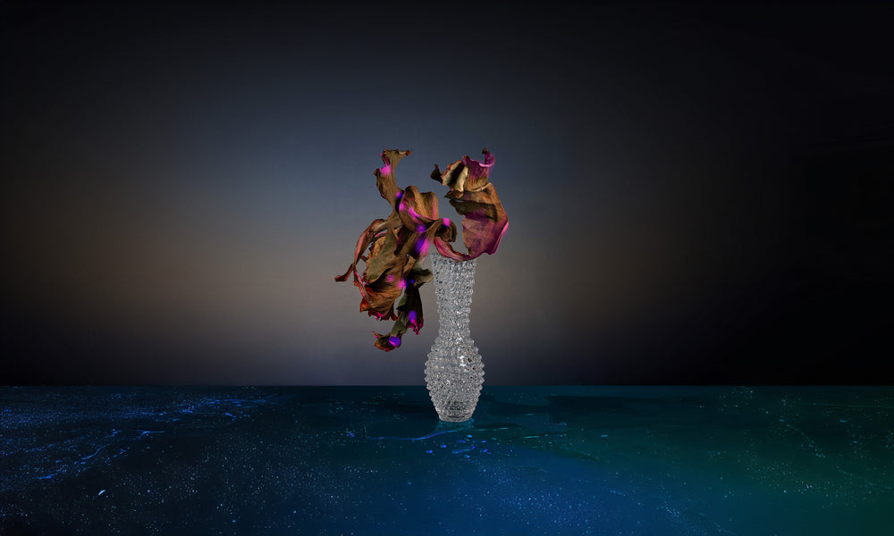 KLIMCHI | Premium Crystal Glassware & Drinkware