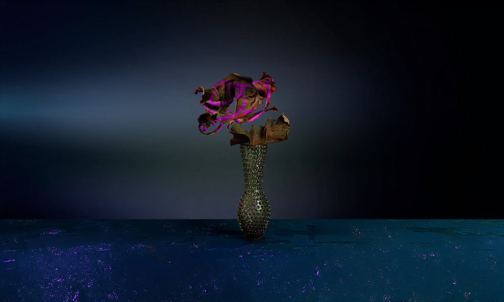 KLIMCHI | Premium Crystal Glassware & Drinkware