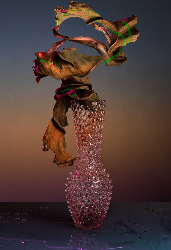 Fugu Vases Collection – KLIMCHI