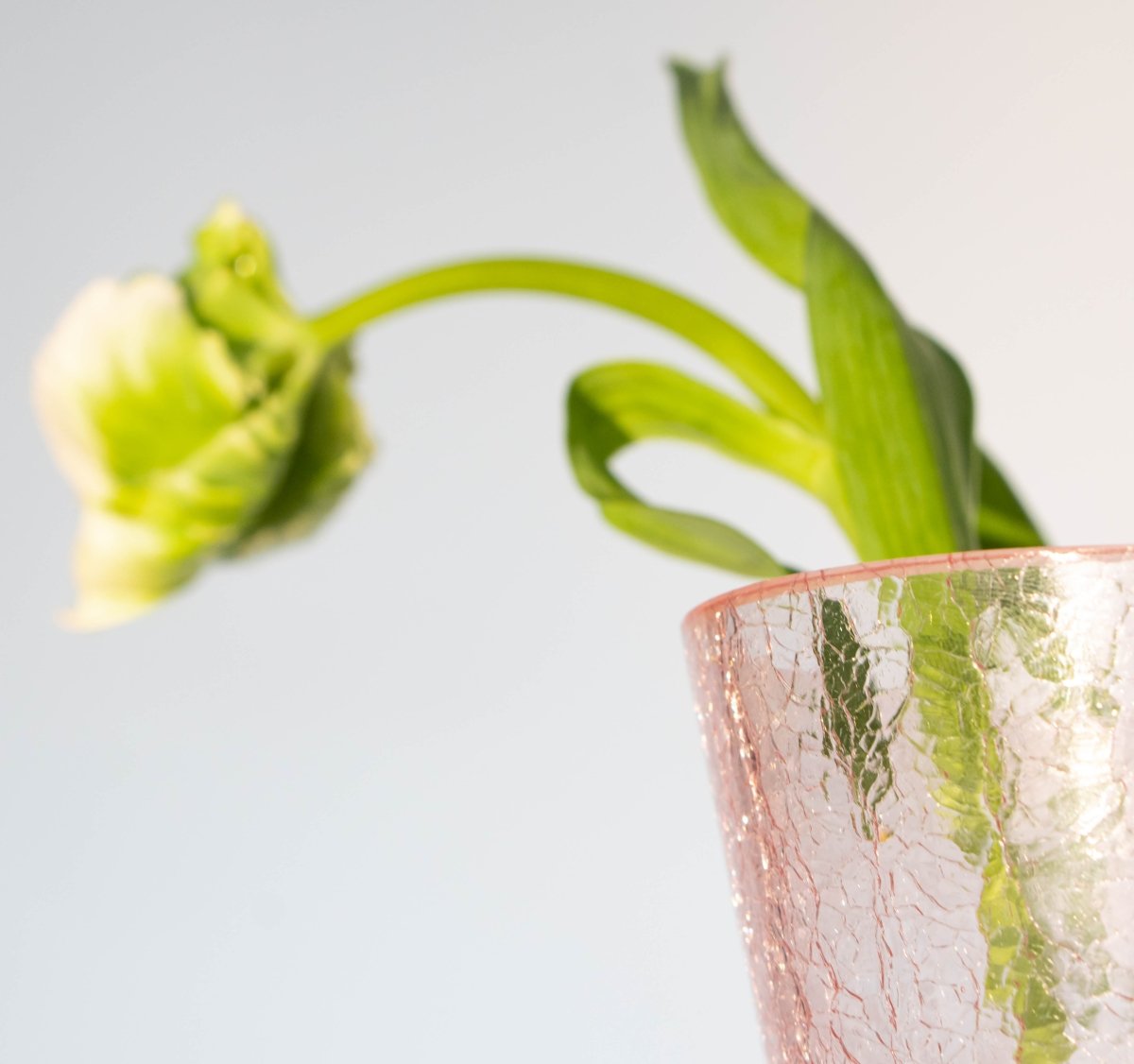Rosy Pink Felicity Vase | KLIMCHI